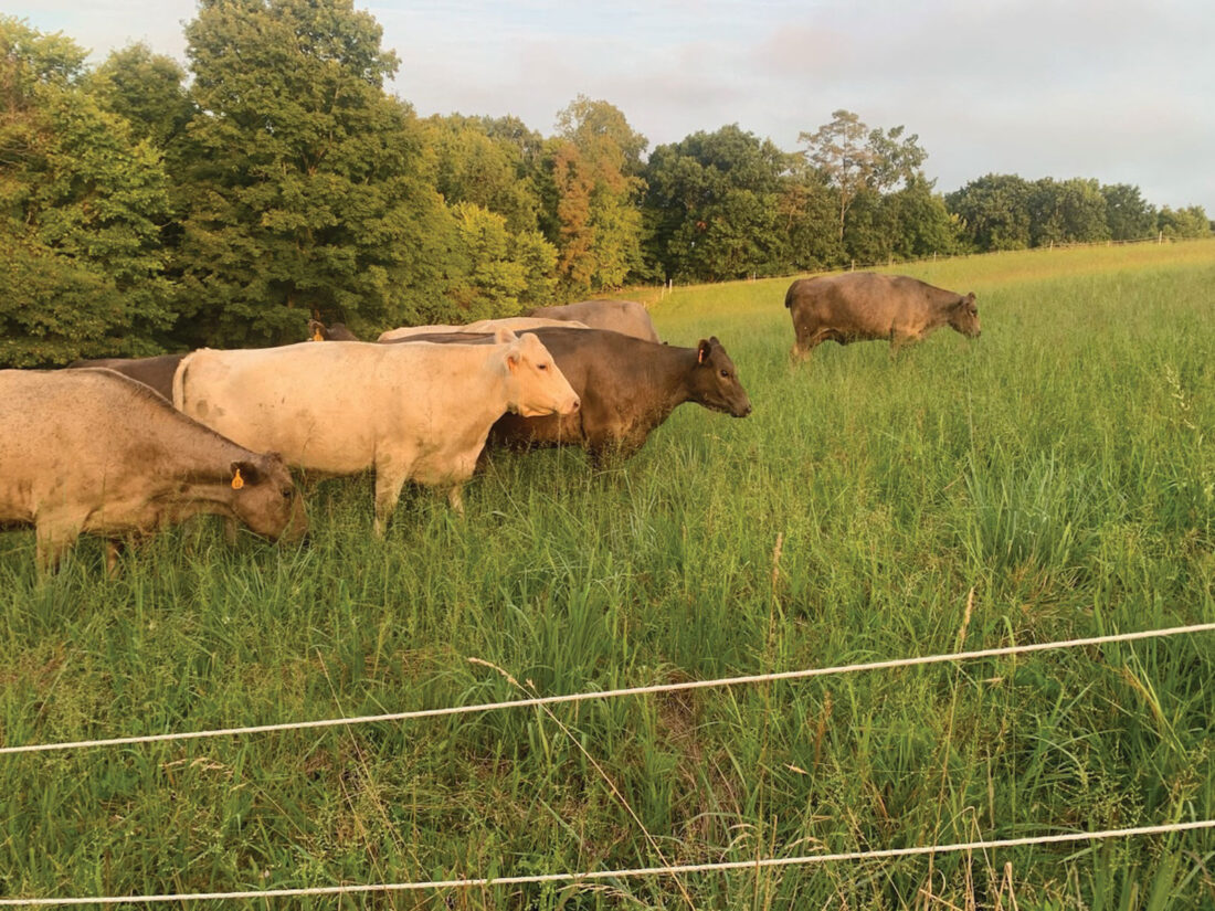 A Hard Day’s Bright: Farmers struggling with heat wave, drought ...